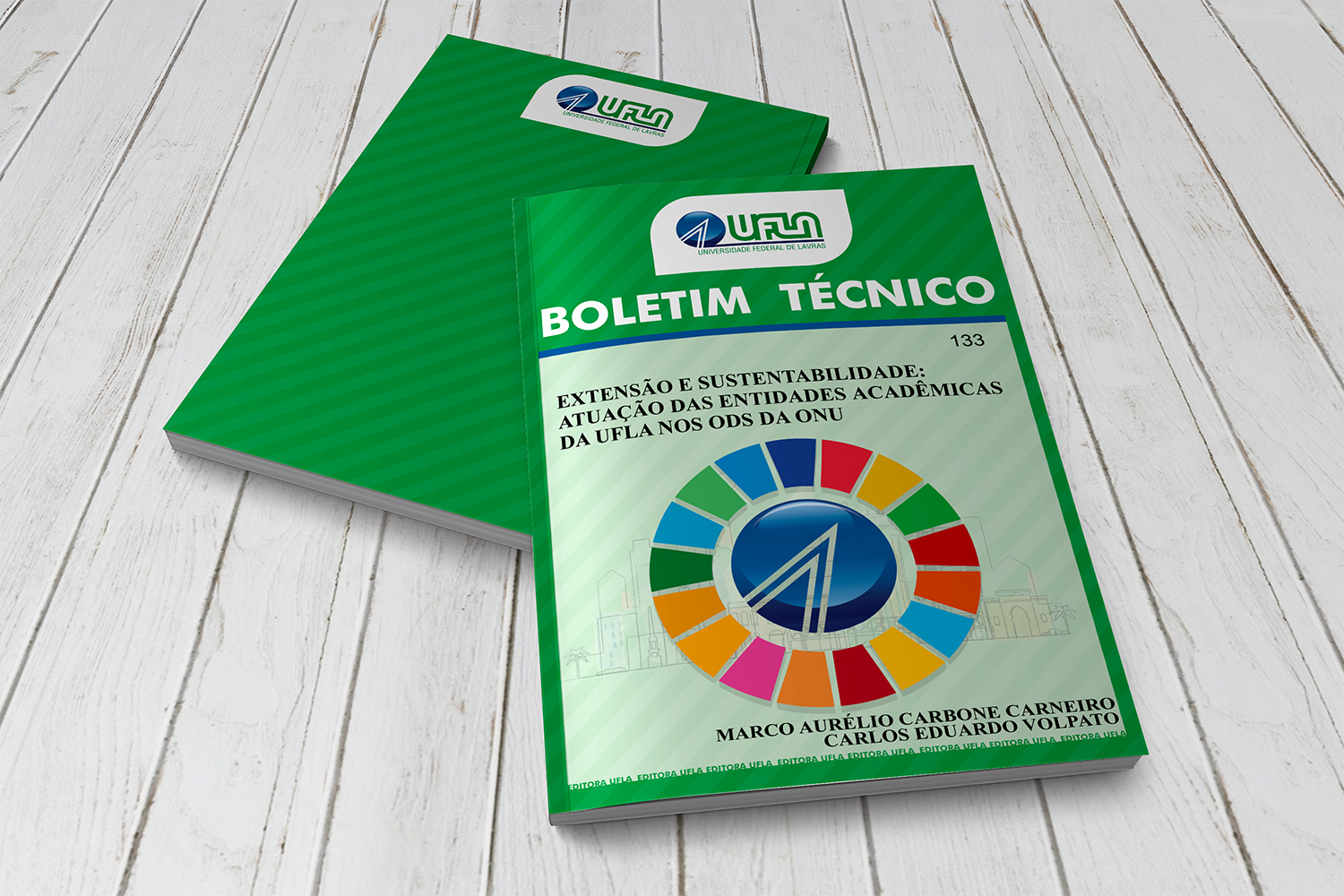 Proeec e Editora UFLA lançam boletim técnico sobre atuação das ...